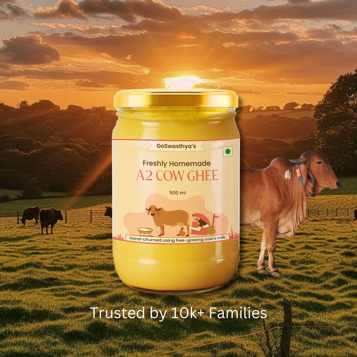 Pure A2 Desi Cow Ghee | Crafted the Traditional Way – GoSwasthya